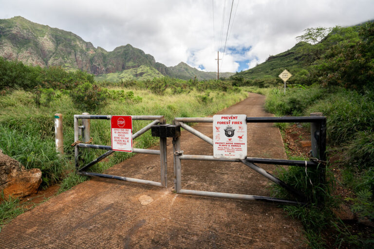 Mount Ka'ala Hike To The Highest Point On Oahu, Hawaii