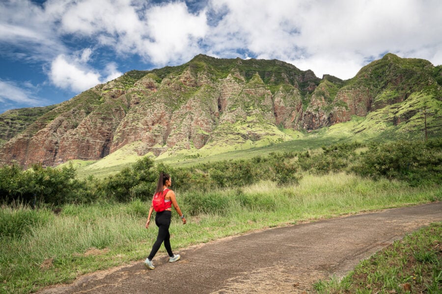 Mount Ka'ala Hike To The Highest Point On Oahu, Hawaii