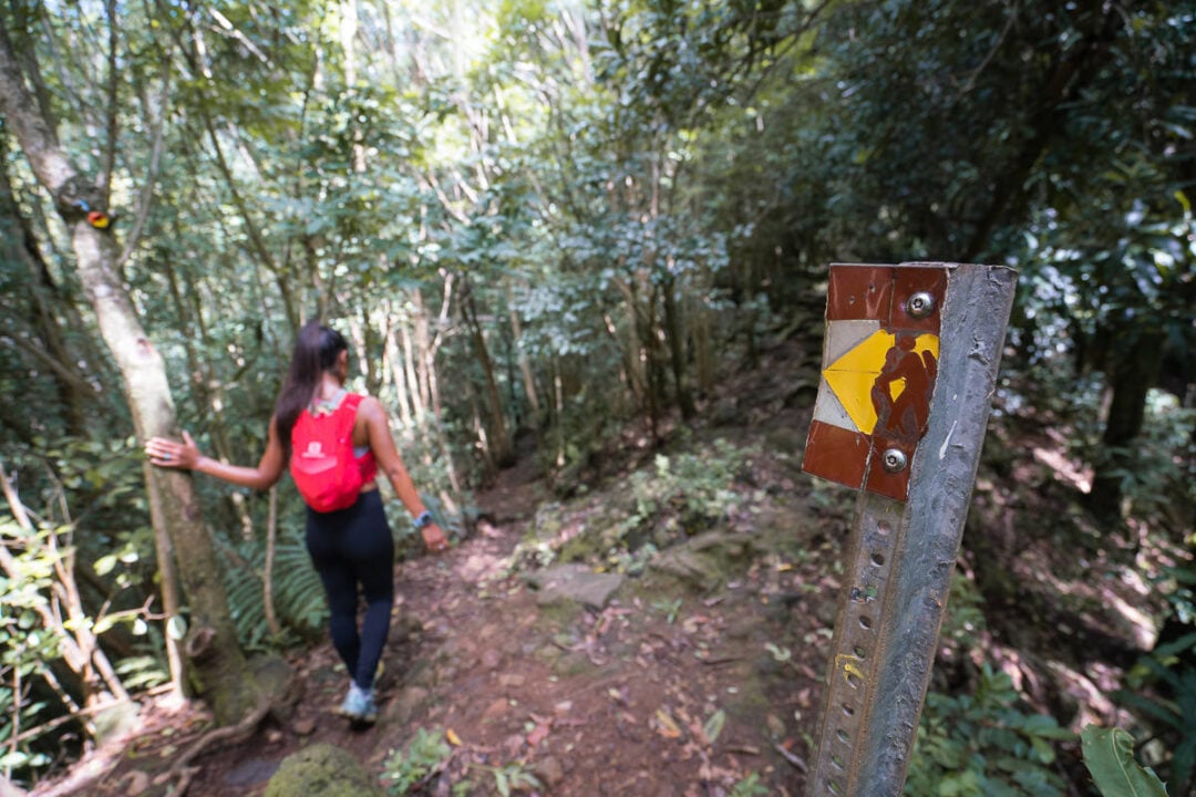 Mount Ka'ala Hike To The Highest Point On Oahu, Hawaii