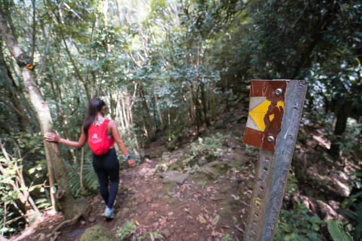 Mount Ka'ala Hike To The Highest Point On Oahu, Hawaii