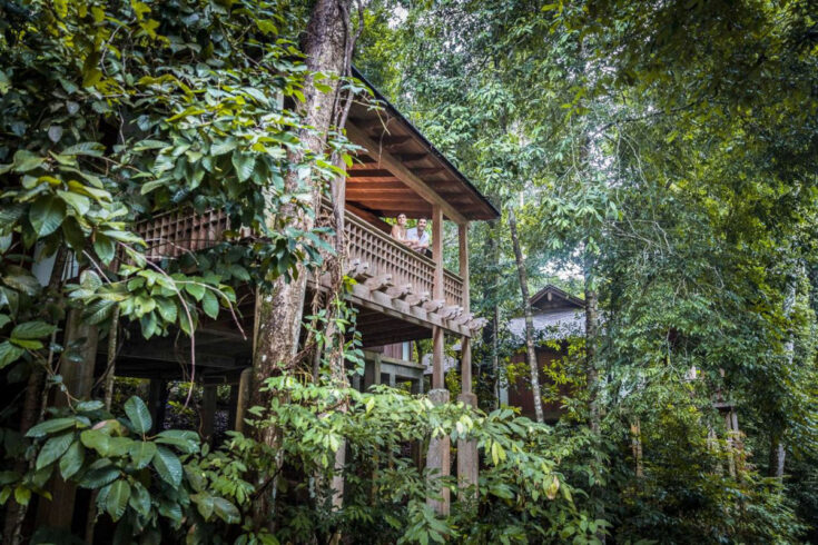 17 Best Eco Resorts In Malaysia: Complete Guide
