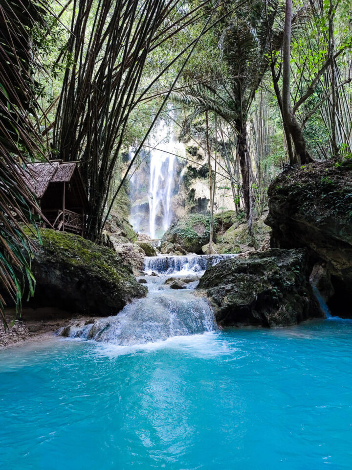 5 Best Things To Do In Oslob, Cebu: The Ultimate Guide