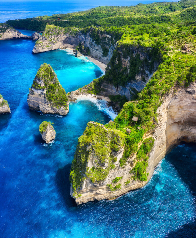 'Rumah Pohon' The 'Epic' Nusa Penida Treehouse