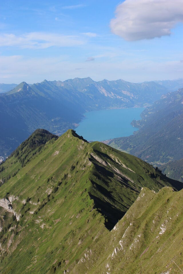 Morgenberghorn Hike In Switzerland: Best View Of Lake Thun