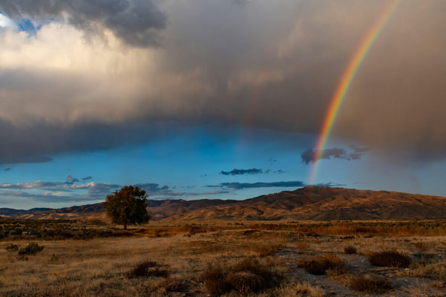 200 Rainbow Quotes and Captions for Instagram