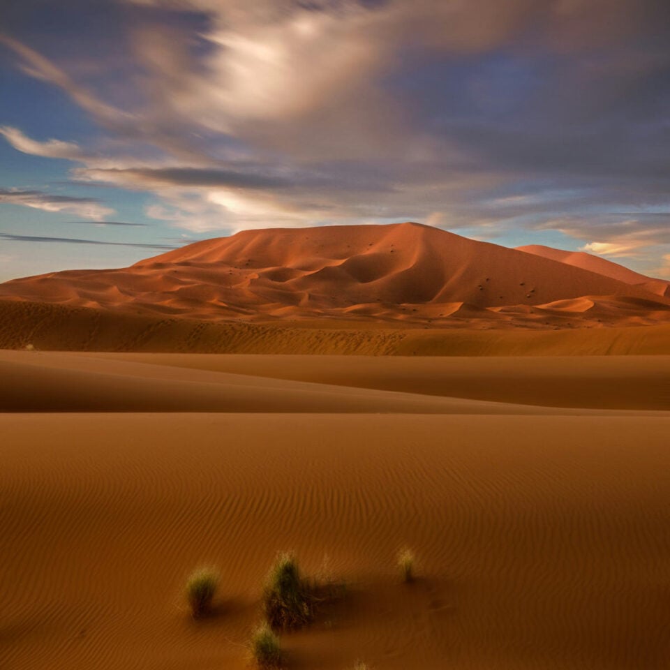 140 Desert Quotes and Sayings: A Journey Through the Sands of Time