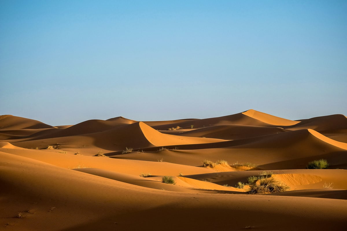 140 Desert Quotes and Sayings: A Journey Through the Sands of Time