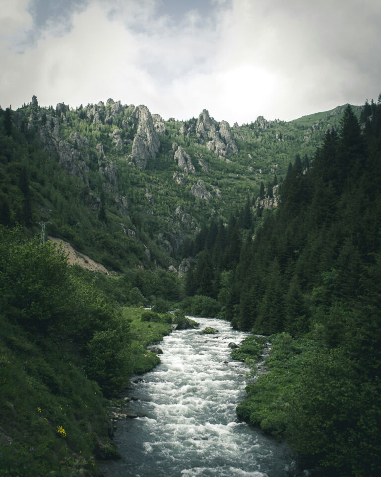 170 River Quotes and Captions for Instagram to Inspire Your Flow
