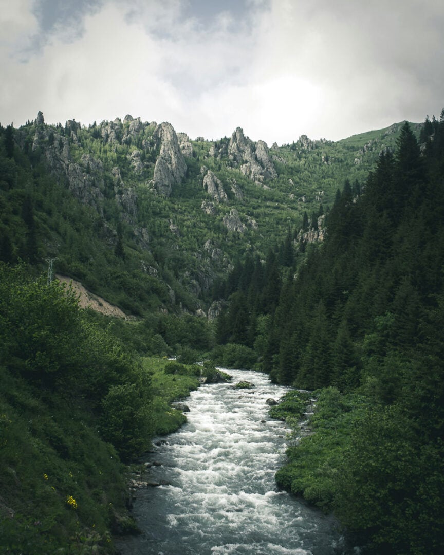170 River Quotes and Captions for Instagram to Inspire Your Flow
