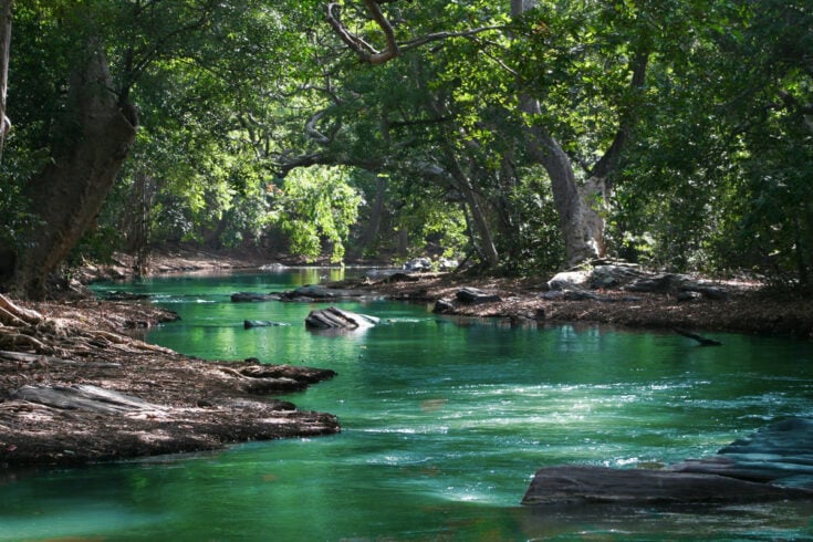170 River Quotes and Captions for Instagram to Inspire Your Flow